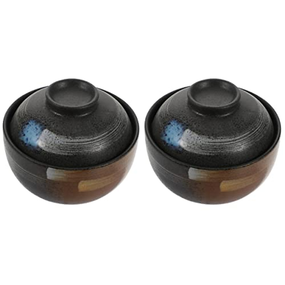 BESTonZON 2 pcs Pho Steaming Bowls Bird Tableware Chill Appetizer Noodle Saucer Japanese Black Use Salad Lid Vegetables Delicate Vintage Soup Stockpot Nest Miso Pot Serving Earthen Stew