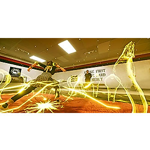 Cobra Kai 2: Dojos Rising - PlayStation 4