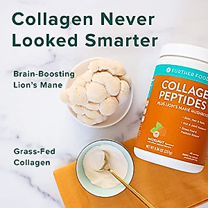 Further Food Collagen Peptide Powder Hazelnut Blend with Lion’s Mane Mushroom, Grass-Fed Hydrolyzed Type 1 & 3 Protein, Gut Health + Joint, Hair, Skin, Nails, Paleo Keto Sugar-Free (28 Servings)