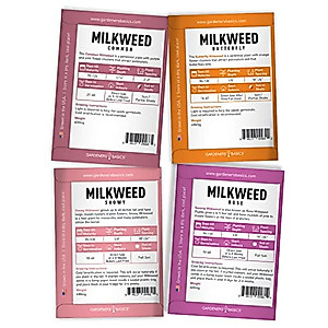 Milkweed Seeds For Monarch Butterflies (4 Variety Pack) Common, Showy, Butterfly and Rose Varieties Attracts Butterflies, Bees and Pollinators Heirloom Flower Seeds Wildflower Seed by Gardeners Basics
