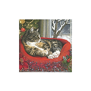 A Rare Breed Cat Christmas Cards, 8 Designs Multipack, Traditional Tabby and Ginger Cats Xmas Card Recyclable, Happy Holidays.