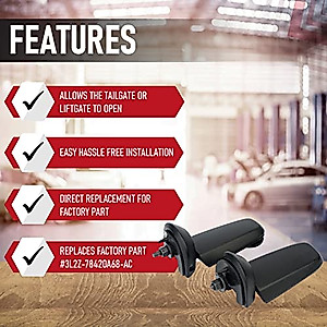 Rear Window Hinge Set (Left and Right) - Compatible with Ford Explorer and Mercury Mountaineer 2002-2005 - Replaces 3L2Z-78420A69-AC, 3L2Z-78420A68-AC, 924-160 - Rear Glass Hinges