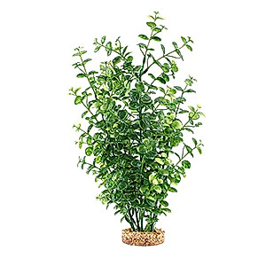 Fluval Aqualife Green Bacopa Plant, Plastic Aquarium Plant Decoration 14 in