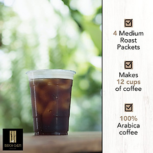 Birch Glen Roasters Ready to Go Cold Brew Coffee Bags - 4 Packets of Medium Roast Coarse Ground Coffee- No Machine Needed, Ready to Go Easy Cold Brewing Bags for Pitcher Servings- 100% Arabica Coffee - Kosher