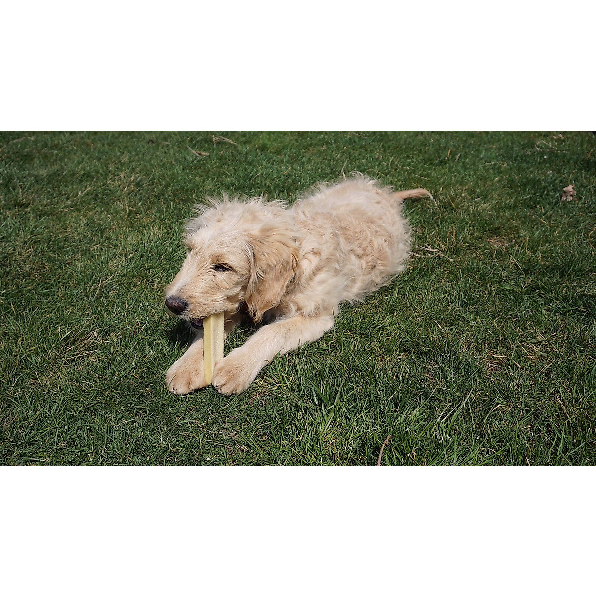 HIMAL 2 Value Pack 100% Natural Medium Dog Treat (4 Piece)