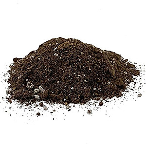 Bromeliad Soil Planting Soil, Hand Blended All Natural Potting Mix for Planting, Growing, or Repotting Bromeliad, Potting Soil for Bromeliad, Small Batch Hand Blended 4QT Size Bag