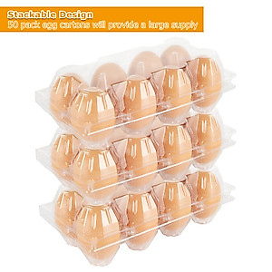 ZOFORTY Plastic Egg Cartons Bulk - 50 Pack Clear Egg Cartons Empty Chicken Egg Tray Reusable Egg Carton Holder for Family Pasture Chicken Farm Market Display (8 Grids)