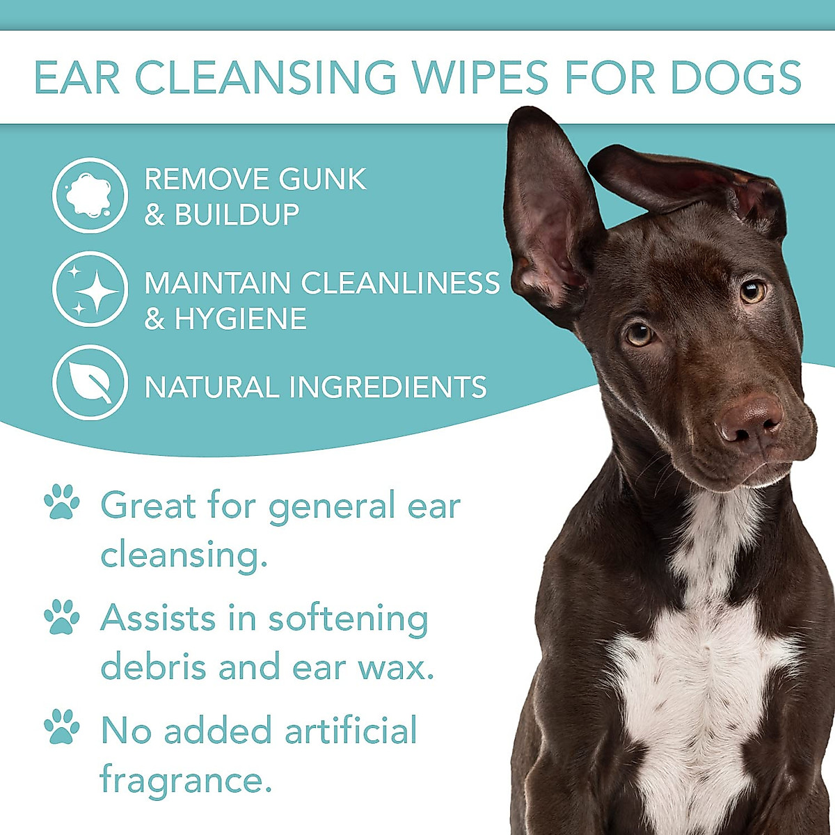 VET-VIRTUE Fragrance Free Ear Wipes for Dogs