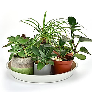 GRESPRI White Plant Saucer 14 Inches, 5 Packs Durable Plastic Plant Trays, Flower Pot Saucers 12 inches in Base, 5 Gallon Grow Bag Saucers for Indoor Outdoor Plants.