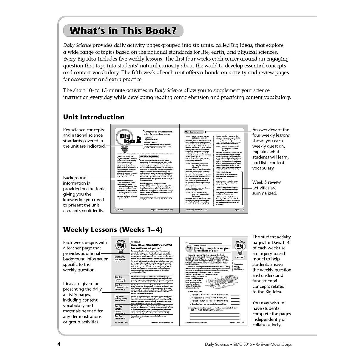Daily Science: Grade 6+ (Daily Practice Books)