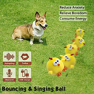 Interactive Dog Toys, Squeaky Dog Toys, Bouncing Interactive Dogs Ball for Boredom, Durable Chewing Chicken Stuffed Animal Plush Toy, Active Self Moving Ball with Music, Rechargeable & Washable