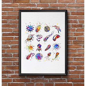 Dignovel Studios 8X10 Unframed Bacteria Watercolor Art Print Biology Medical Art Microbiology Virus Art Abstract Bacteriophage Science Home Office Wall Decor Poster DN675
