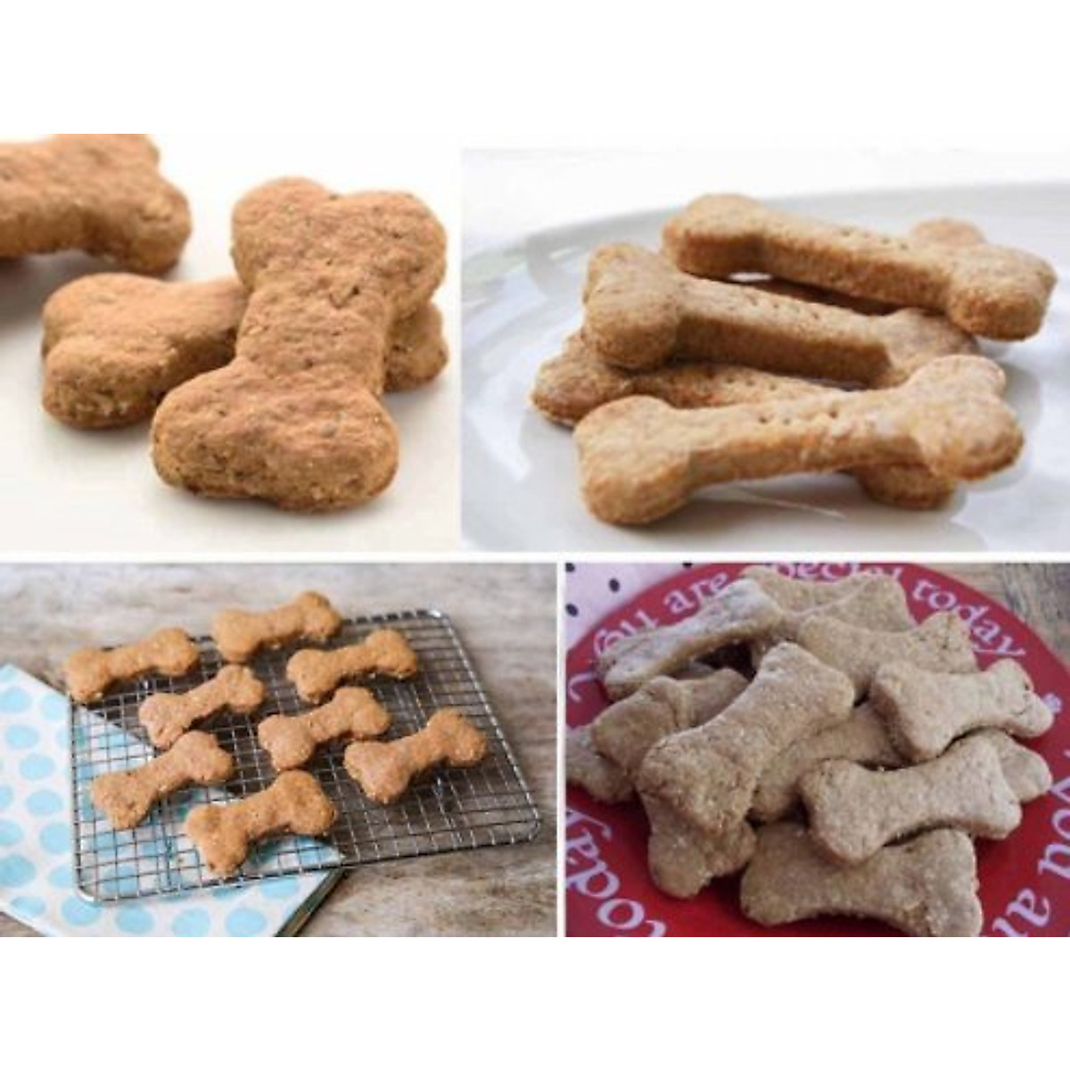 Stainless Steel Metal Dog Bone Shape Cookie Cutter Set, Treats and Crafts