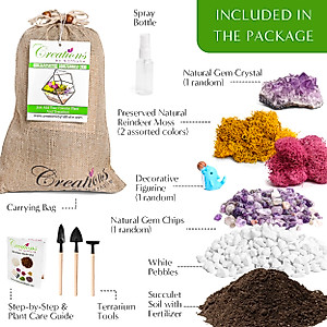 Creations by Nathalie – Premium Small DIY Succulent, Cactus, or Air Plant Terrarium Kit with Soil, Moss, Pebbles, Terrarium Tools, Amethyst Gem, Crystal Chips - Handmade in USA