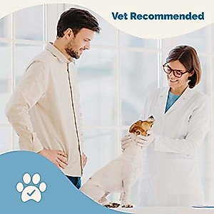 Lignans & Melatonin Blend Naturally Aids in Relieving Symptoms of Cushing’s Disease in Dogs | Helps Promote Healthy Adrenal Balance & Overall Well-being | by Prana Pets | 3 MG Melatonin, 20 MG Lignans