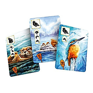 Meadow Downstream Board Game Expansion - Strategy Game, Adventure Game, Nature Game, Fun Family Game for Kids & Adults, Ages 10+, 1-4 Players, 60-90 Minute Playtime, Made by Rebel Studio