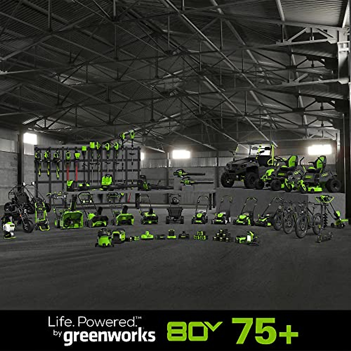 Greenworks Pro 80V 8 inch Brushless Edger, Battery Not Included ED80L00
