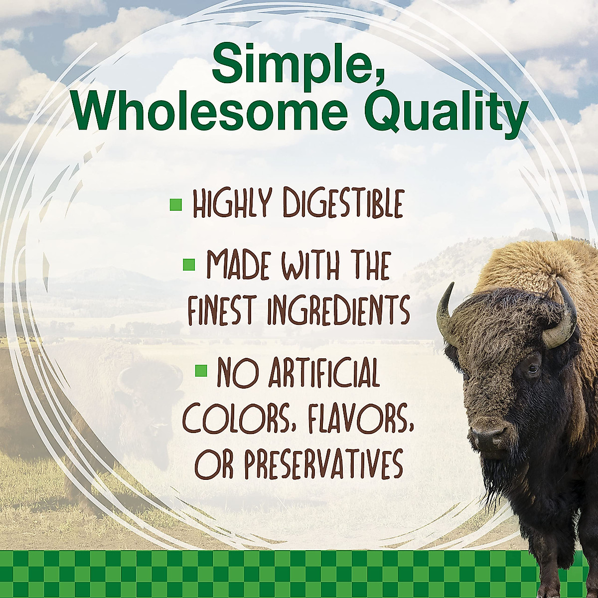 Nylabone Healthy Edibles WILD Natural Long-Lasting Bison Flavor Bone Chew Treats for Dogs, Large (1 Count)