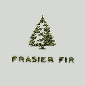 Thymes Frasier Fir Candle – Frosted Plaid Jar Candles – Green & White Candle Jar Design – Scented Candles with Notes of Siberian Fir, Cedarwood & Sandalwood – Holiday Candles – Votive Candles (2 oz)