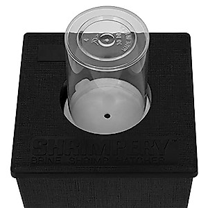 San Francisco Bay Brand Shrimpery Brine Shrimp Kit for Hatching Baby Brine Shrimp