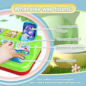 Duchong Interactive Pop Up Animals Toy for Toddlers, STEM Early Developmental Cause and Effect Toys for Ages 9-12-18 Months Toddlers & 1 Year Old Kids, Babies, Boys & Girls