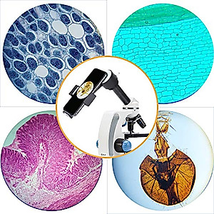 Swift Microscope Lens Adapter,Smartphone Camera Adapter Mount, Microscope Accessory (Fits 28mm Eyepieces)