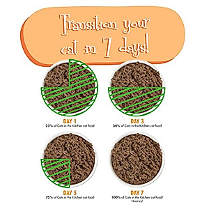 Weruva Cats in The Kitchen, Lamb Burger-ini Wet Cat Food, 10oz Can (Pack of 12)
