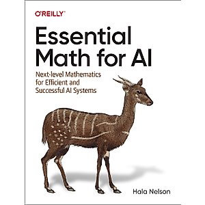 Essential Math for AI: Next-Level Mathematics for Efficient and Successful AI Systems