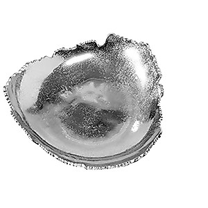 Red Co. 12” Decorative Antique Silver Allure Torn Hammered Metal Centerpiece Bowl with Sculpted Edges