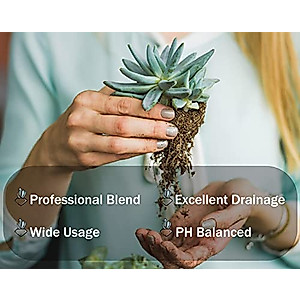 O-FarFarm Succulent Soil Potting Mix 2.2 LBS, Optimized PH Fast Draining with Added Nutrients, Perfect for Small Succulent Pots