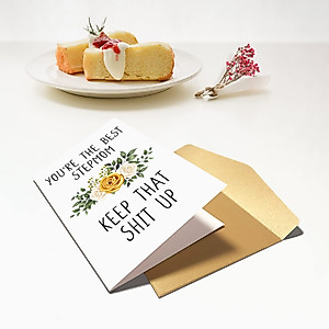 Funny Stepmom Greeting Card Gift, Mother's Day Card for Stepmom, Stepmom Birthday Card, Best Stepmom Card