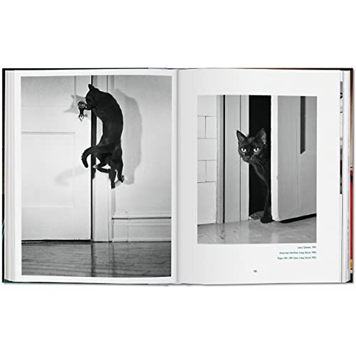 Cats: Photographs 1942 - 2018