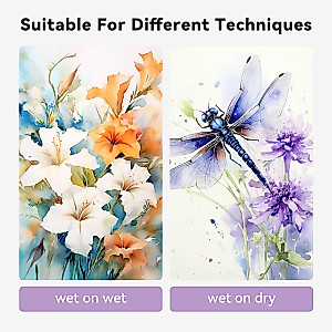 Paul Rubens Watercolor Paint Set Artist Grade, 24 Vivid Colors with Portable Metal Box for Artists, Beginners, Hobbyists, Students-Set B