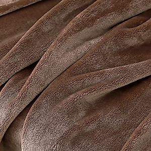 Berkshire VelvetLoft Plush Throw | VelvetLoft All-Season Plush Throw | Foal | Throw (60" x 70")