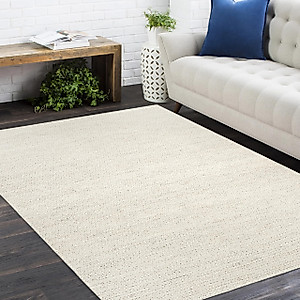 Handmade Transitional Jute Contemporary Beige Area Rug 9 x 12