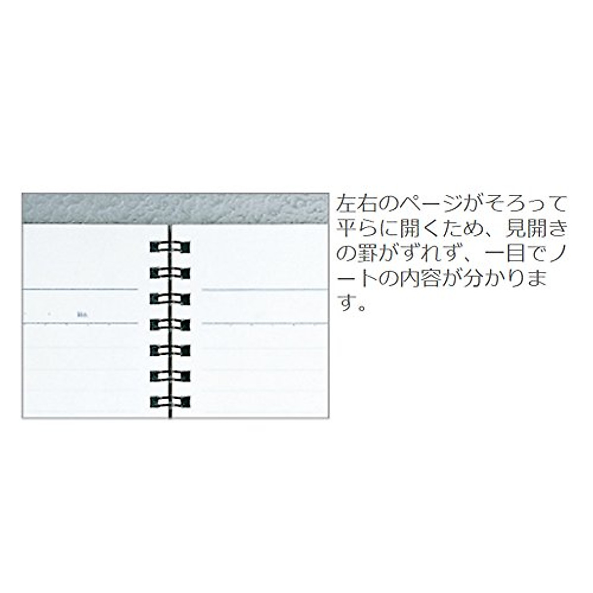 Kokuyo Campus Wide Twin Ring Notebook - Special B5 (7.5" X 10") - 30 Lines - 70 Sheets - Blue