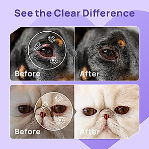 HICC PET Dog Eye Drops 5.1 fl oz Eye Drops for Dogs and Cats Vet-Recommended Dog Eye Infection Treatment to Soothe Eye Infection Allergy, Relieve Dry Eyes Pink Eyes, Dog Tear Stain Cleaner