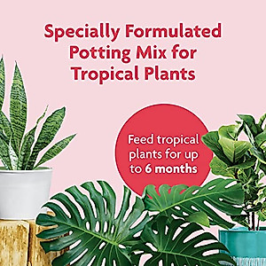 Miracle-Gro Tropical Potting Mix - Growing Media for Tropical Plants Living in Indoor and Outdoor Containers, 6 qt. (2-Pack)