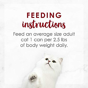 Purina Fancy Feast Wet Cat Food Medleys Wild Salmon Primavera With Tomatoes Carrots and Spinach in Silky Broth - (24) 3 oz. Cans