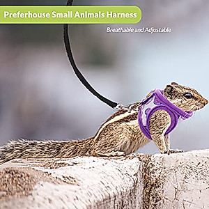Hand Made Harness Vest and Leash Set for Hamster Rats Iguana Bearded Dragon Baby Ferret Soft&Adjustable Small Purple