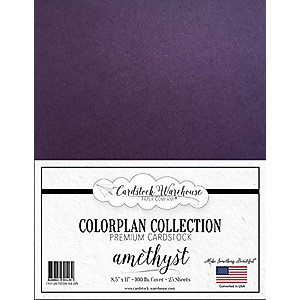 Colorplan Amethyst Purple Cardstock Paper - 8.5 X 11 Inch Premium Matte 100 Lb. Heavyweight - 25 Sheets from Cardstock Warehouse