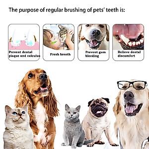 Dog & Cat Toothbrush Kit, 360º Pet Toothbrush, Food Grade Silicone Dog Finger Toothbrush, Dual Head Bristles Tooth Brush, Triple Head Dog Toothbrushes, Cleaning Brushes for Dog Cat Oral Dental