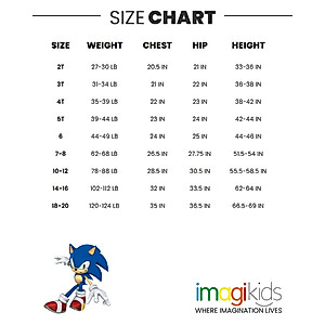 SEGA Sonic The Hedgehog Big Boys Fleece Hoodie Blue 10-12