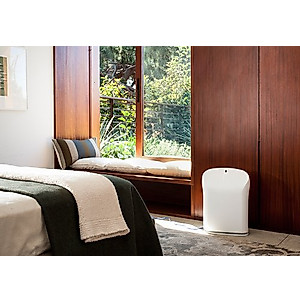 Rabbit Air BioGS 2.0 Ultra Quiet HEPA Air Purifier (SPA-550A White)