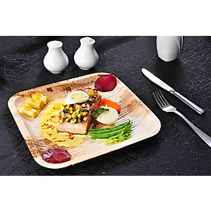 Atmos Green 25 pack 10" Square Palm Leaf Dinner Plate Compostable disposable premium heavy duty Eco-Friendly Microwave Refrigeration safe Bamboo like Wedding Events Party