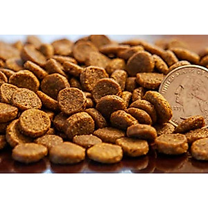 By Nature Pet Foods Grain Free Dog Food Made in USA [Grain Free Dry Dog Food with Superfood Ingredients for Food Sensitivities and Immune Health], Lamb & Turkey Meal Recipe, 24 lb. Bag, Brown (77072)