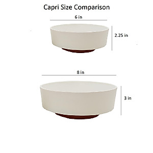 The HC Companies 6 Inch Round Capri Succulent Pot - Decorative Indoor Plastic Planter with Drainage, Vanilla Bisque