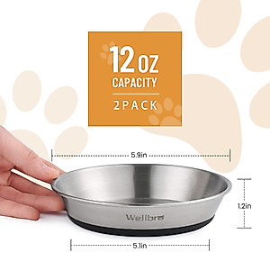 Wellbro Cat Bowls, 2 Pcs Stainless Steel Cat Bowls for Food and Water, Whisker Fatigue Shallow Non-Slip Cat Dishes Plates for Small Dog Puppies Cats