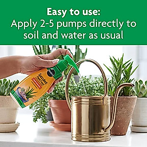 Miracle-Gro Succulent Plant Food, 8 Oz., For Succulents including Cacti, Jade, And Aloe, 1 Pack