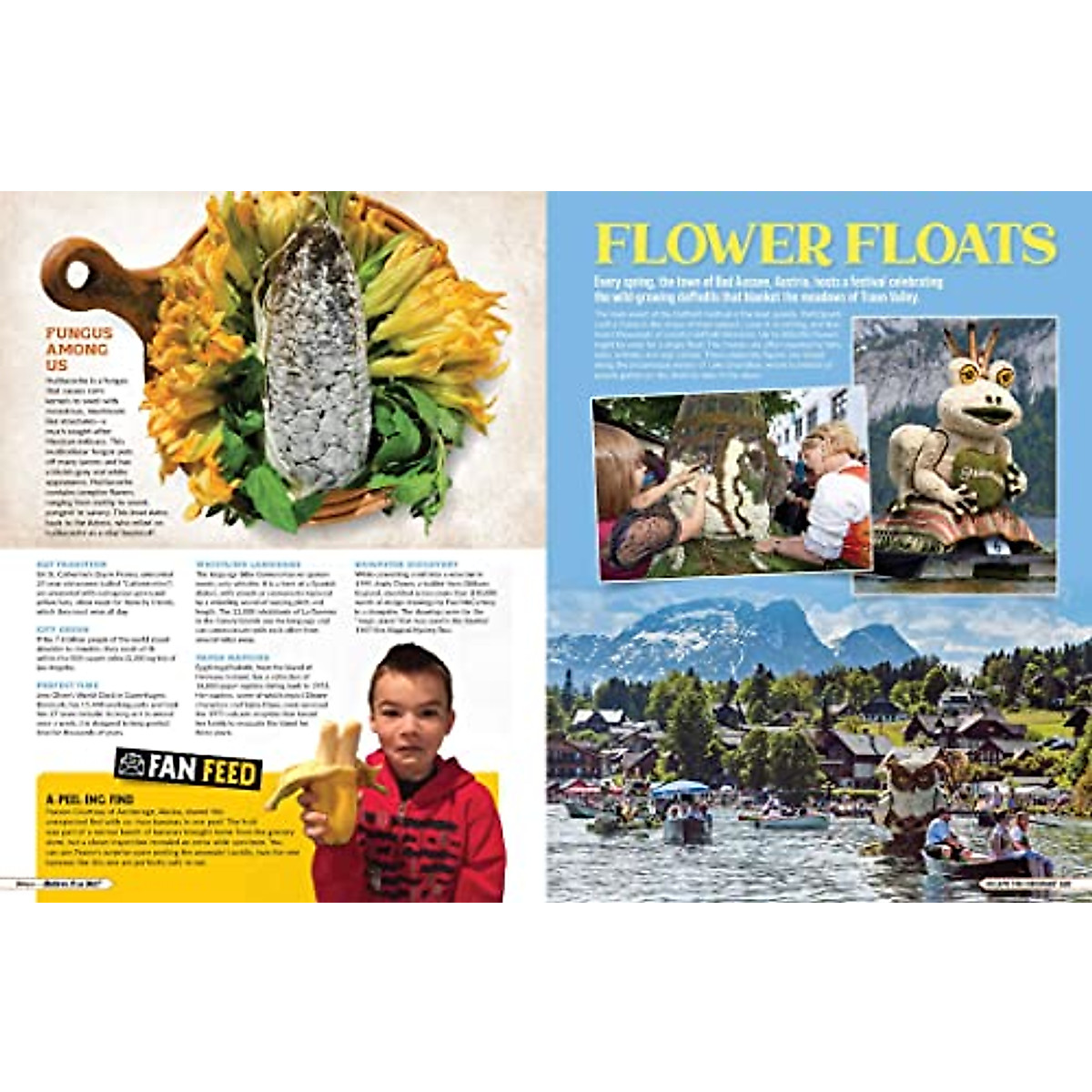 Ripley's Believe It Or Not! Escape the Ordinary (19) (ANNUAL)